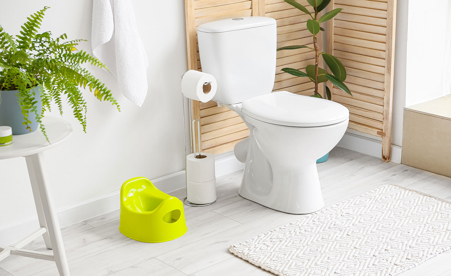 In-Home Potty Solutions - SunRae Solutions